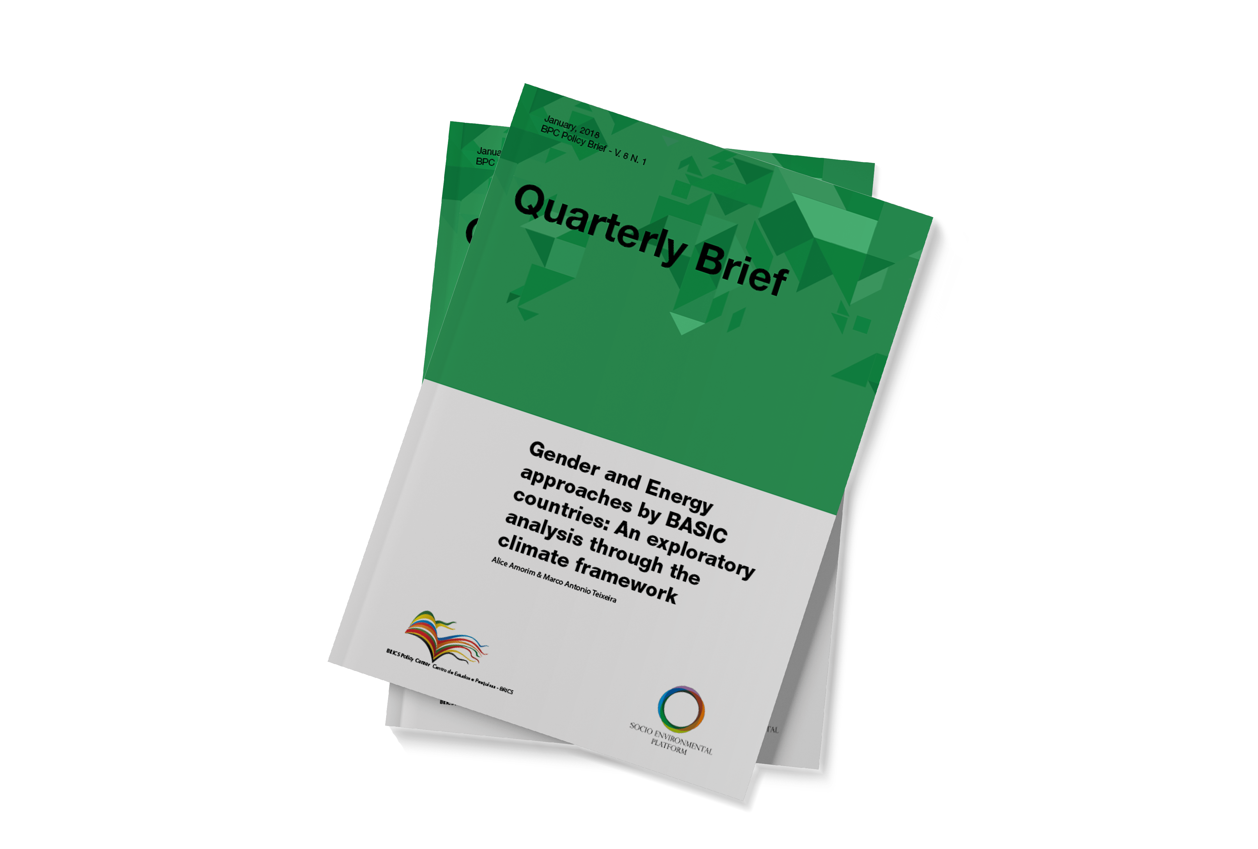 Gender and Energy approaches by BASIC countries - brq