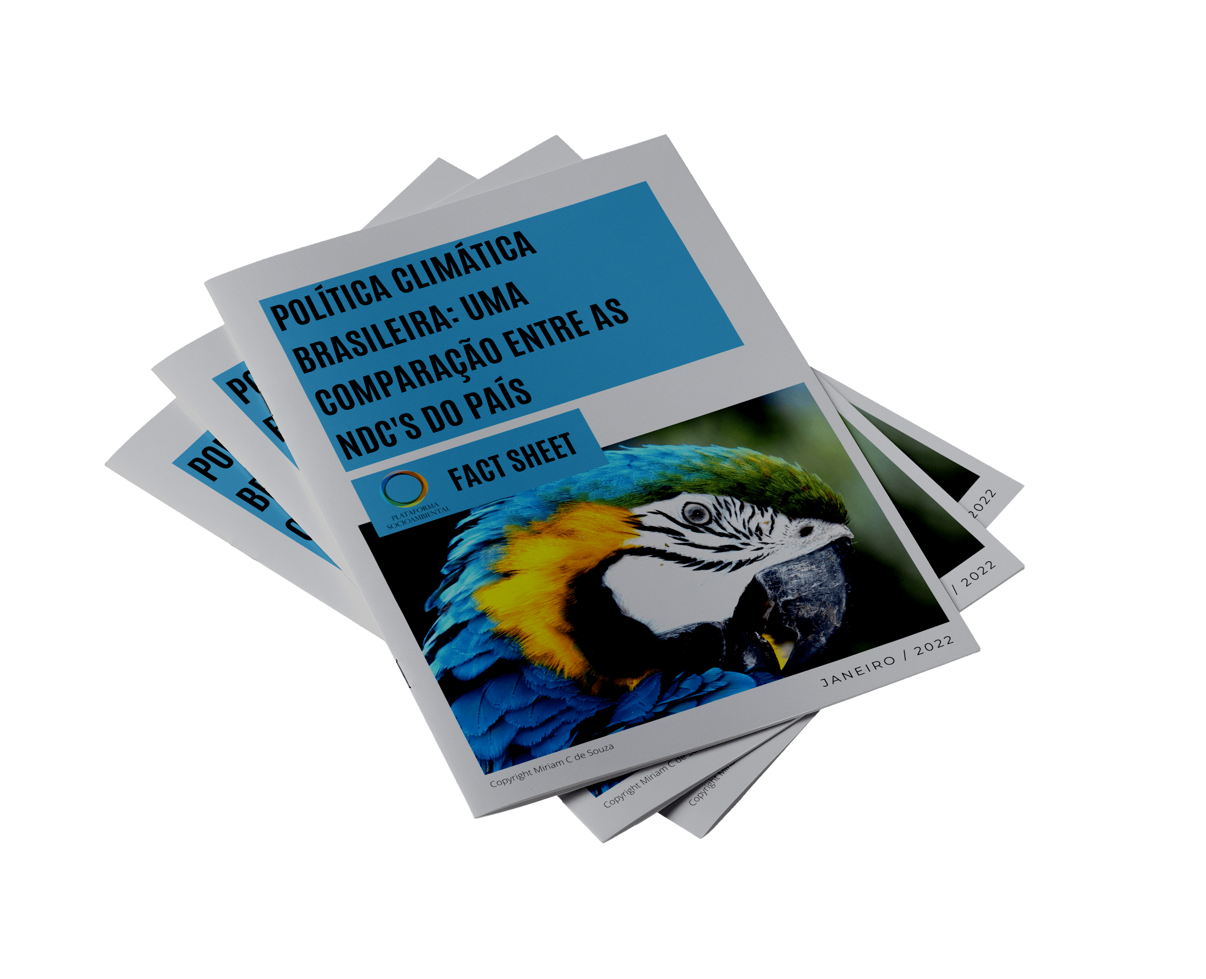 Fact Sheet | Política Climática Brasileira: Uma comparação entre as ...